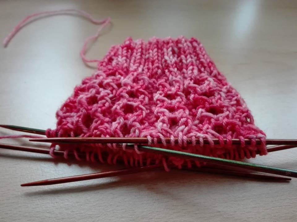 Spaghetti Socks – Fido