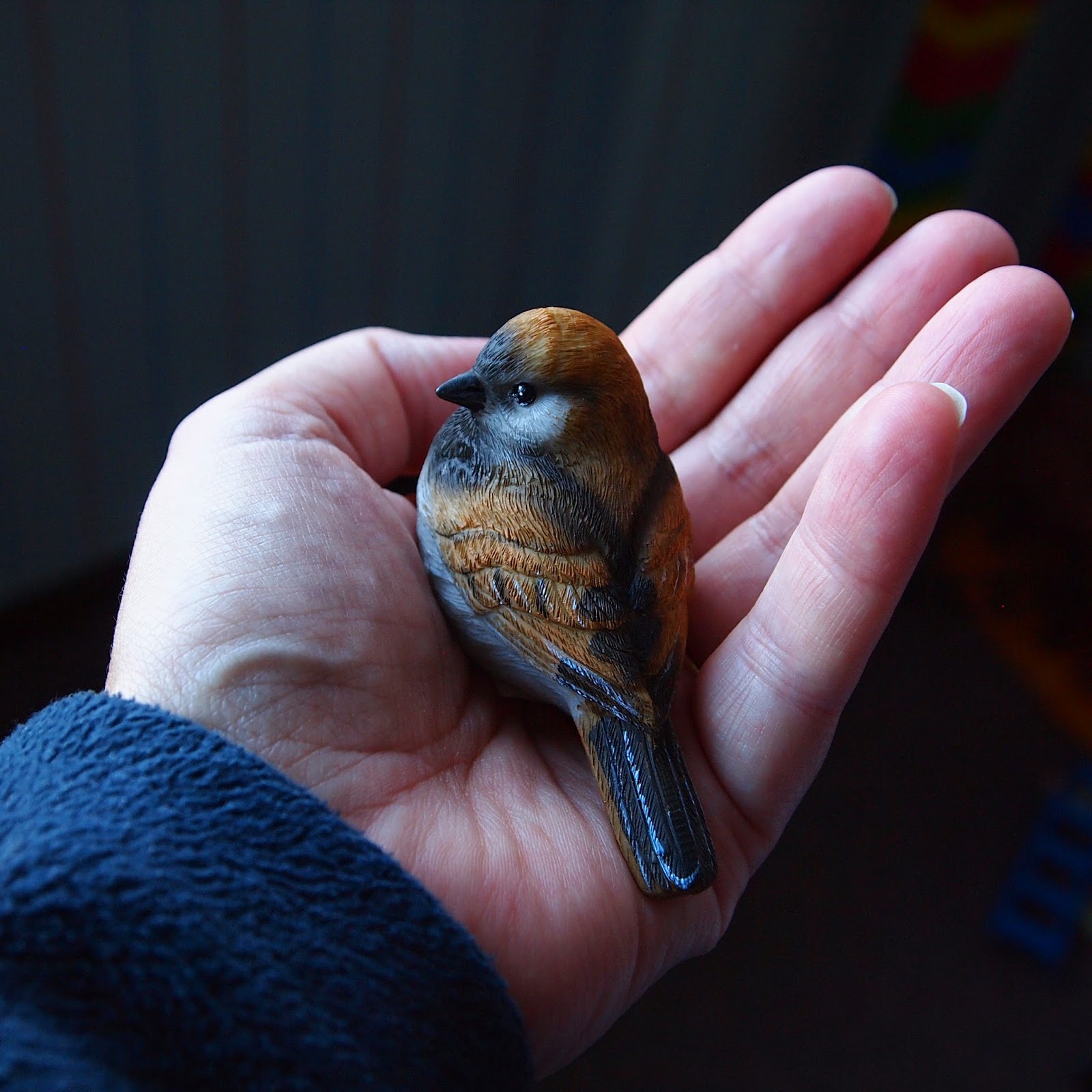 KOSTBAAR!: Ik kocht een mus in Drenthe