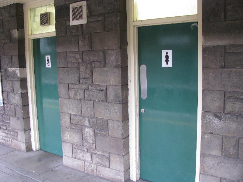 Particulations: Urinary Segregation: Jacques Lacan on Sexual Difference