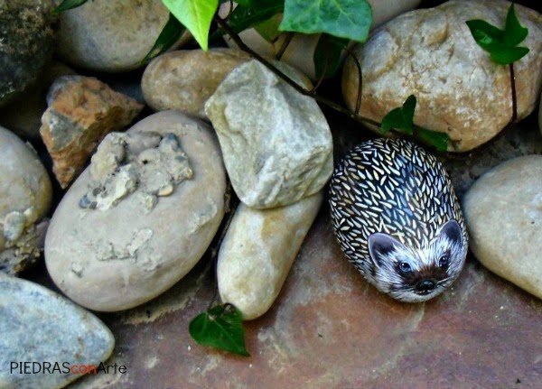 El bosque de las piedras encantadas: ERIZO COMÚN (Erinaceus europaeus)