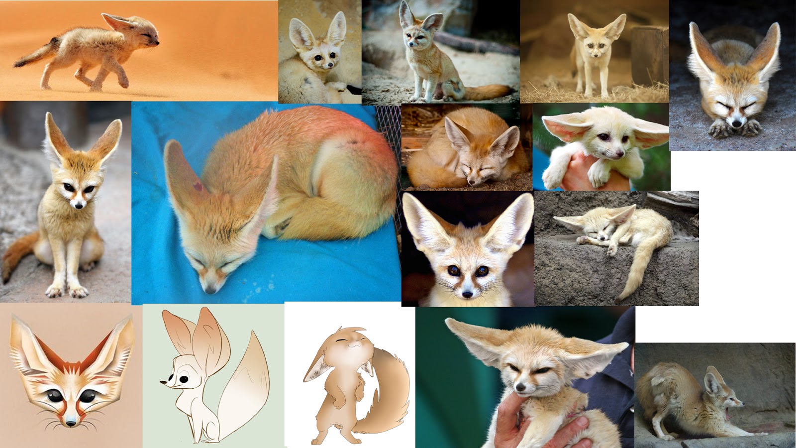 Naomi Thompson: March 2016