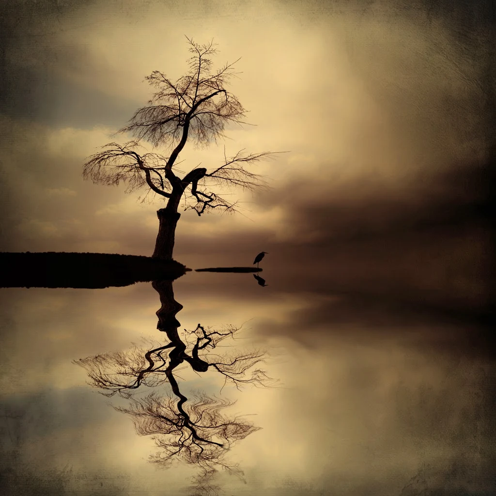 Anja Bührer | Surreal silhouettes | Tutt'Art@ Masters