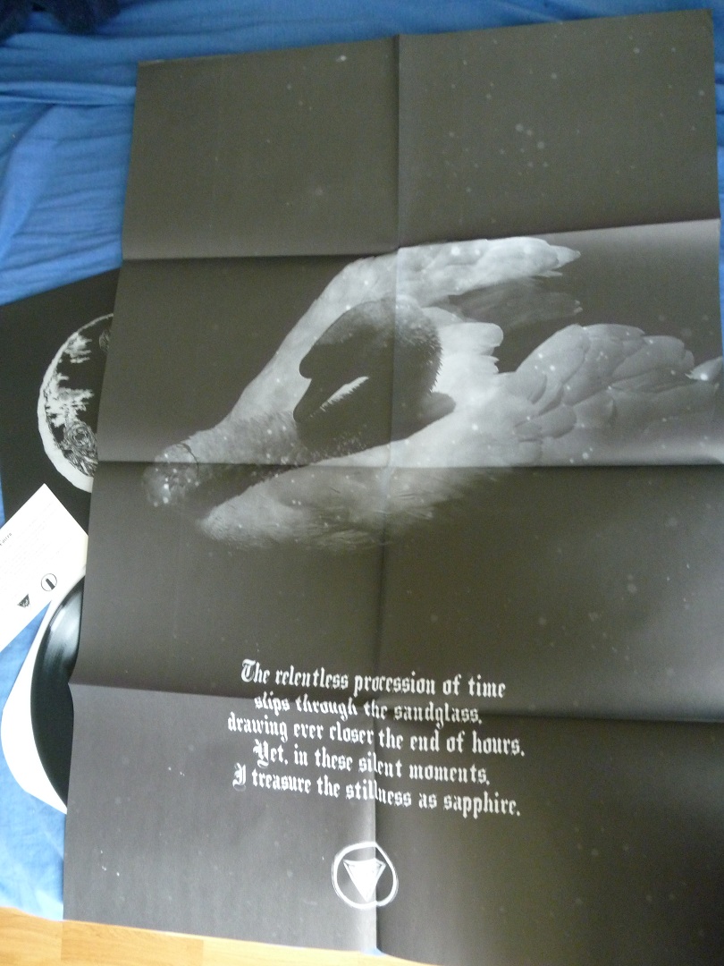 PERPETUAL STRIFE: 2011 From a Vinyl Collecting Nerd