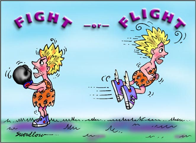 Make Up Your Mind: Paradox and the Natural Man, Fight or Flight, Oh My ...