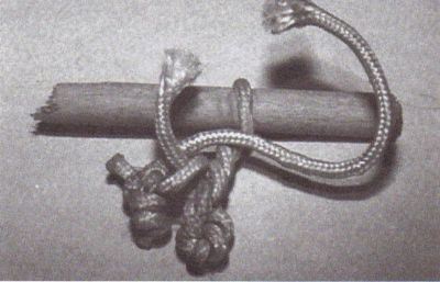 The Skeptical Juror: The Strangulation of Melissa Trotter