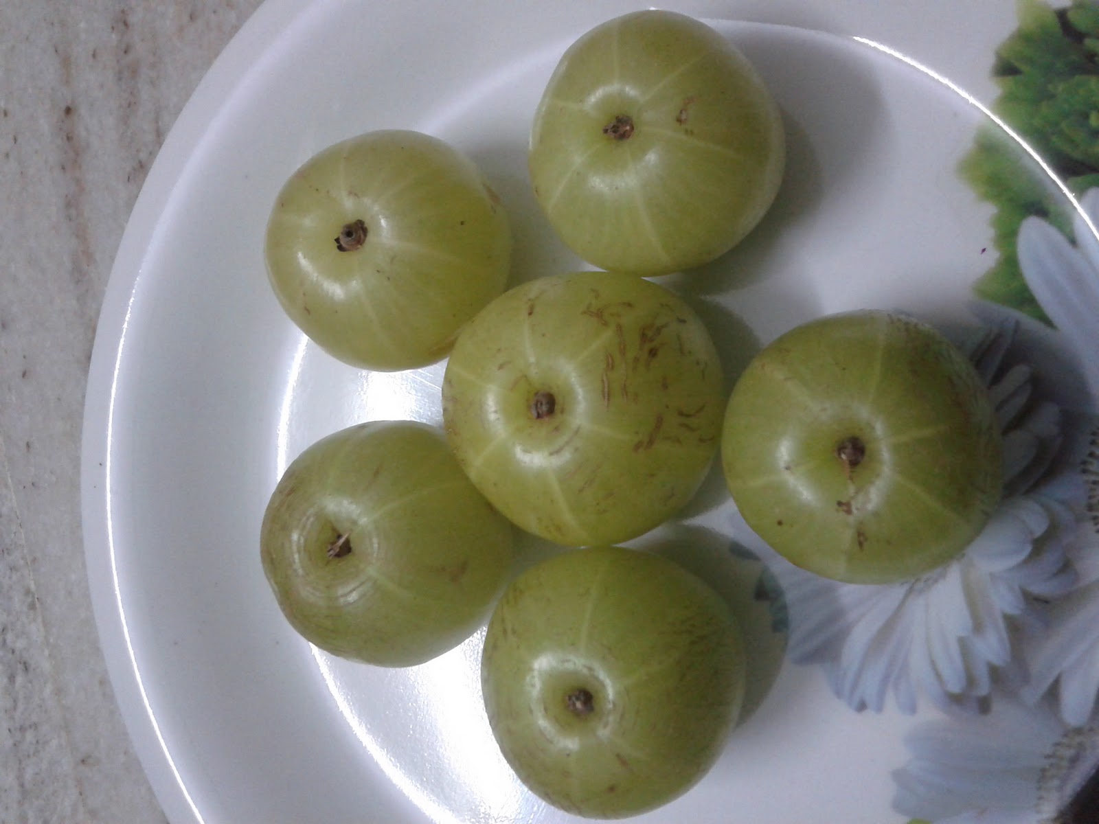 Amla Tree - Nellikai, Phyllanthus Embilca (Emblica offcinalis ...