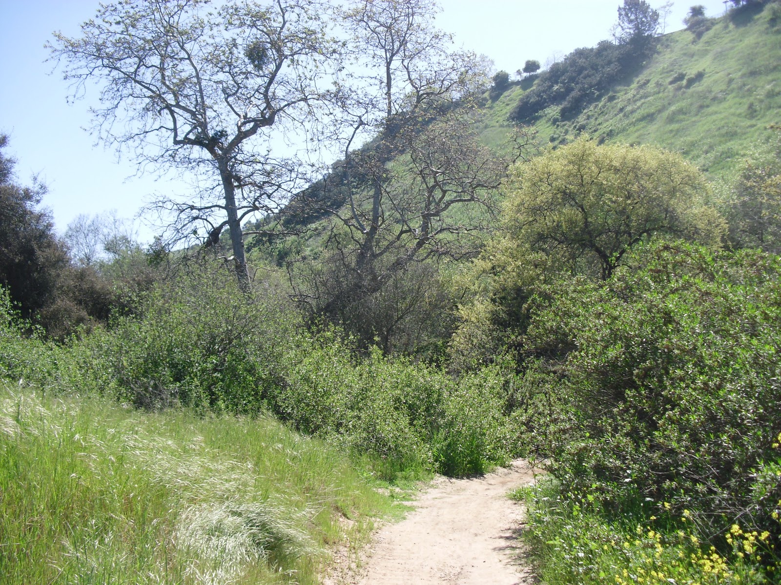 Walking Here and There!: Lopez Canyon (#55)