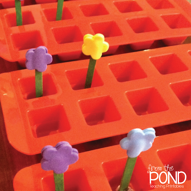 Flowers for Fun! | From the Pond