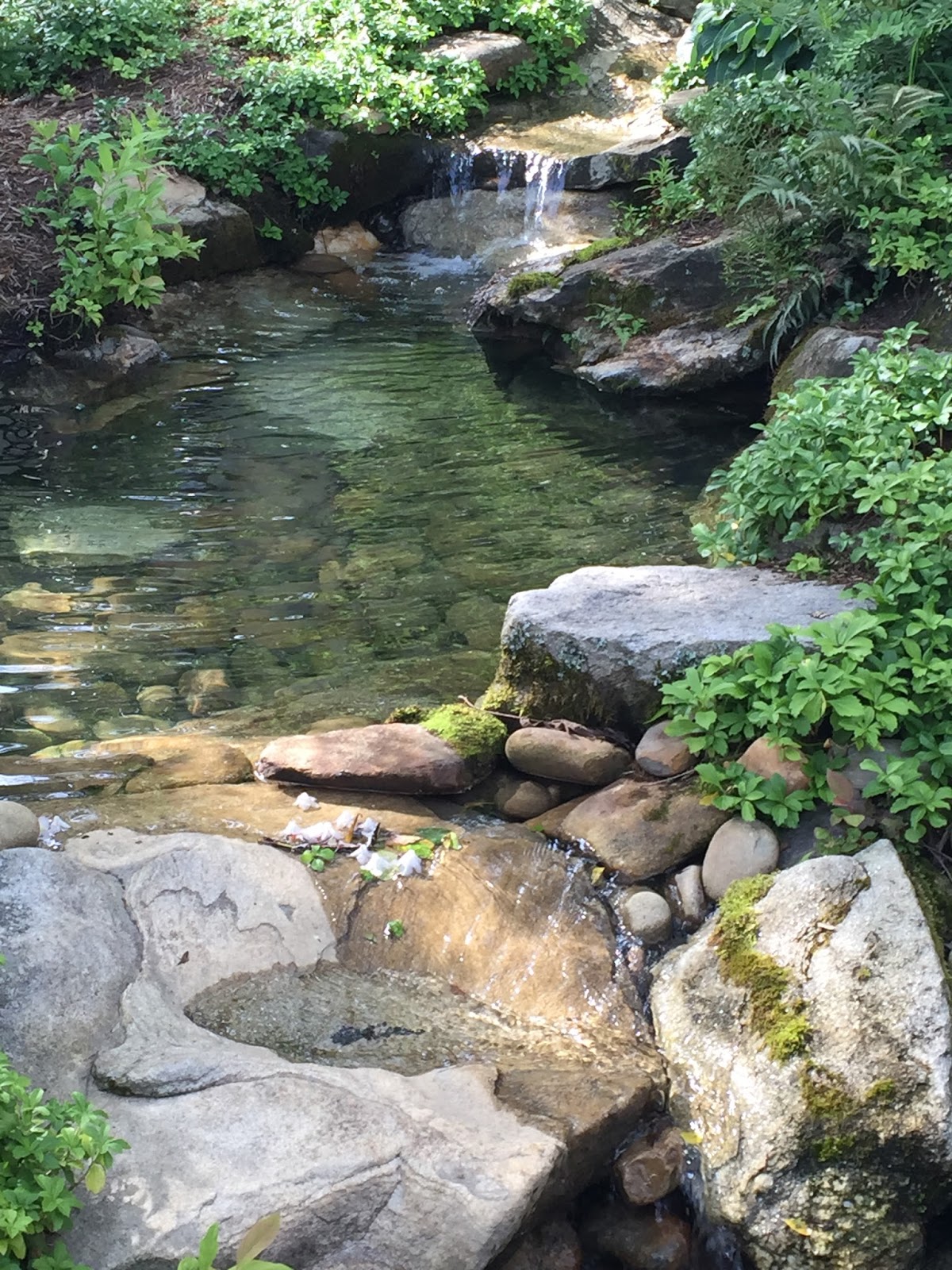 Romancing the Home: The Old Edwards Inn and Spa