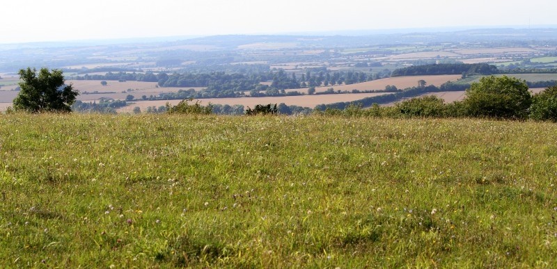 ShySongbird's Nature News: Aston Rowant National Nature Reserve on a ...