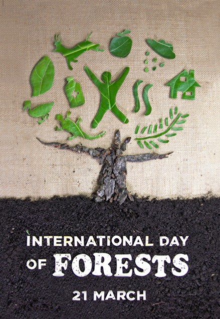Green Heart At Work: International Day of Forests