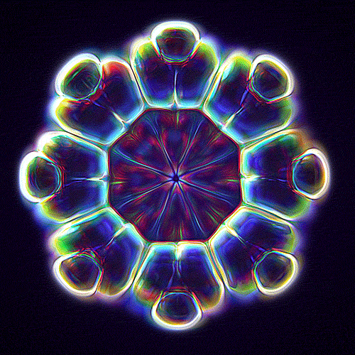 Tapas de Ciencia: Protobacillus: una colección de gif abstractos y ...
