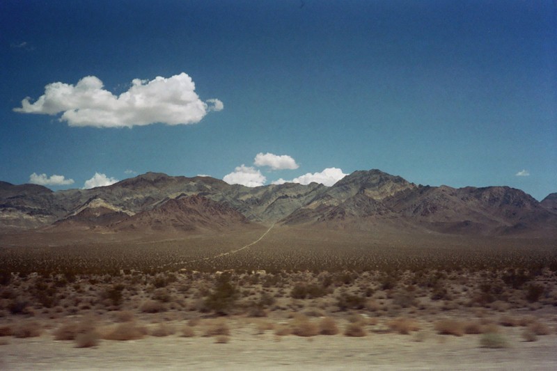 The Jane Chronicles: Trevor Triano