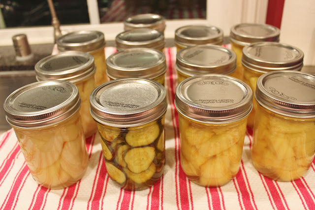 My little cottage in the making: SMALL BATCH CANNING ~ PEARS, PICKLES ...