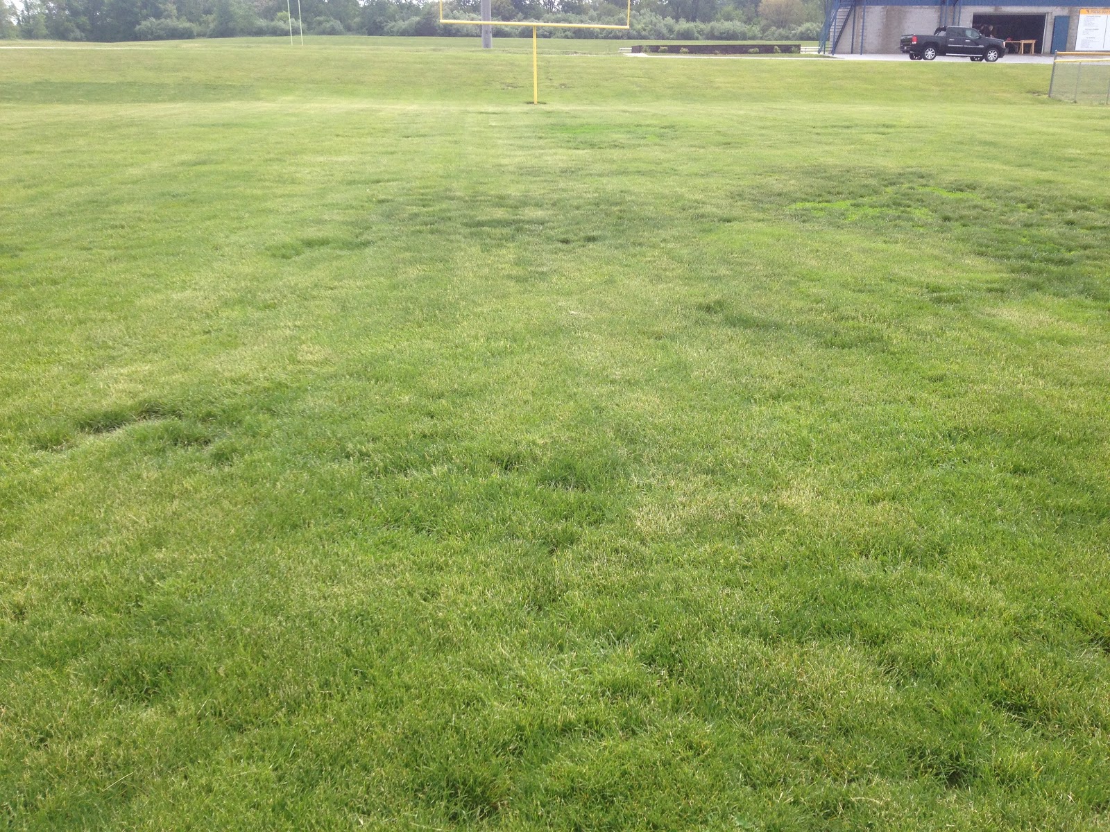 Smart Turf: Fescue, Bluegrass, and Bermudagrass Athletic Fields in Indiana