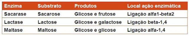 Nutrição Acessível: METABOLISMO DE CARBOIDRATOS - DIGESTÃO E ABSORÇÃO