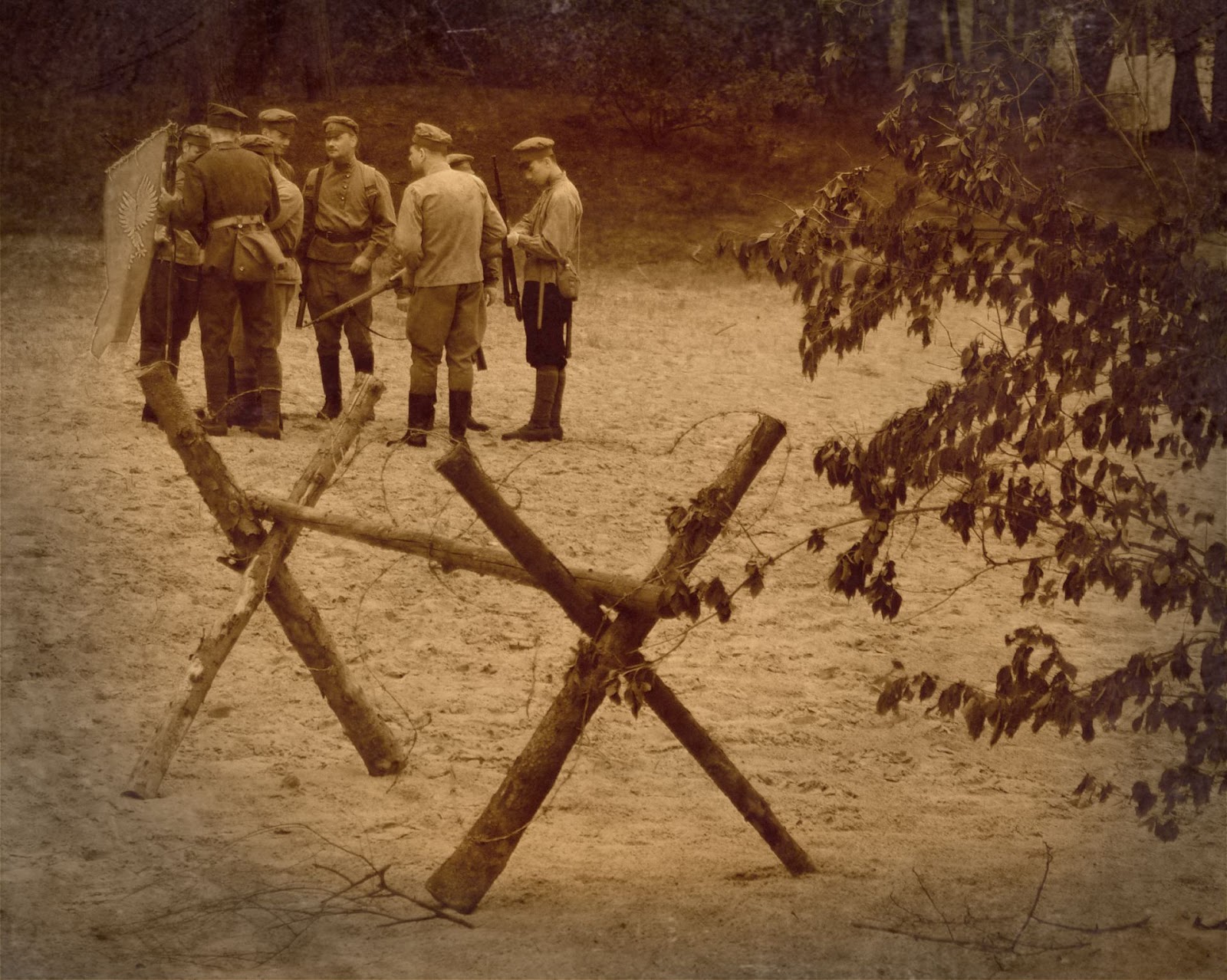 Bitwa pod Berezyną (część pierwsza) | W o l s z t y n