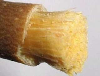 Makkah Madina - Islamic Places for Muslims (Makkah Madina): 70 Benefits ...