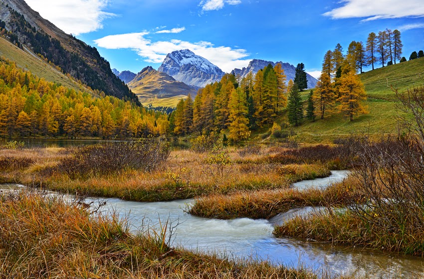 NATUR-WELTEN Unsere schönsten Fotoerlebnisse: Engadin: Vom Palpuognasee ...