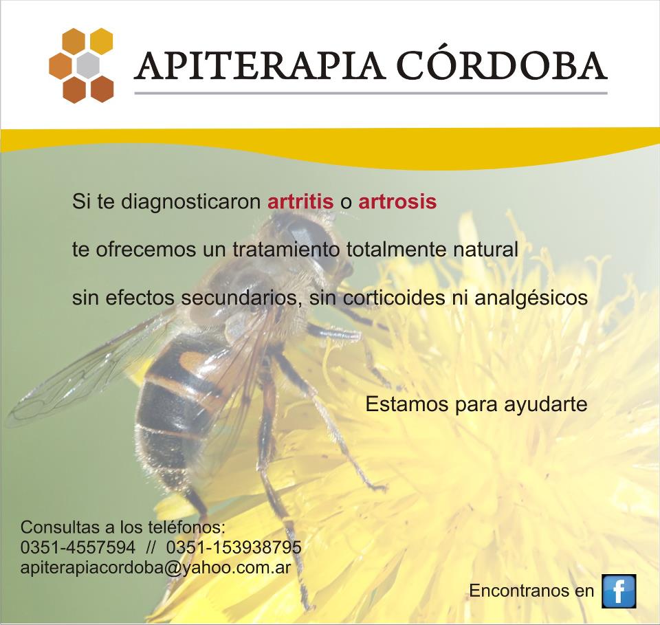 APICULTURA EN MISIONES: QUE ES LA APITOXINA... REMEDIO...BUEN REMEDIO