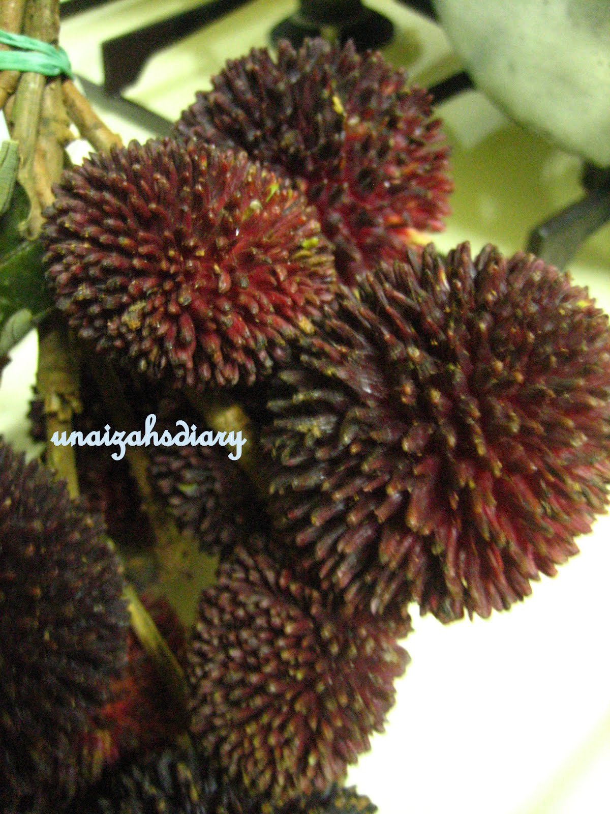 Memories Experiences Thoughts Hopes Dreams: Pulasan