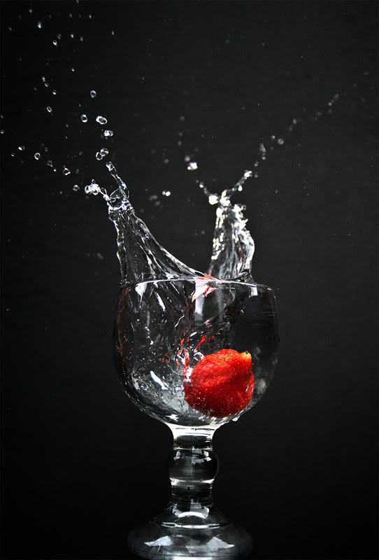 Photo Fanatic Five Elements Of Design photo-fanatic-five-elements-of-design