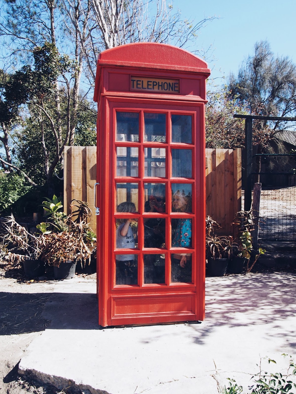 Barrabool Maze Estate Ceres Review | Yellow Dandy