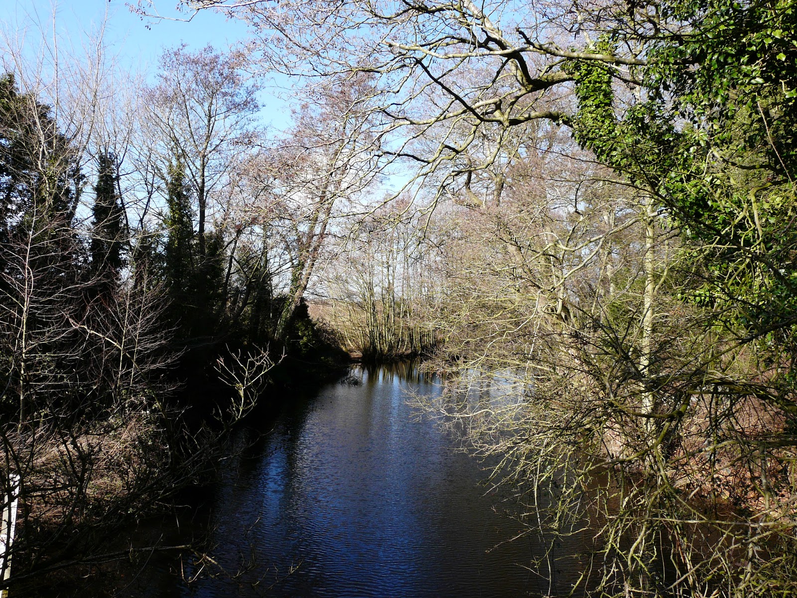 Cindy's Snaps: New Buckenham Castle, Norfolk.....
