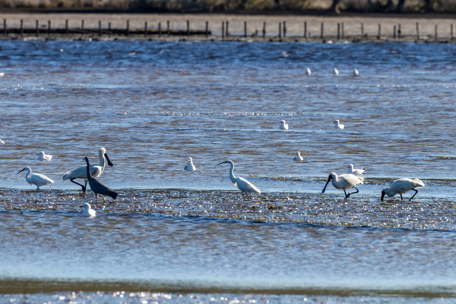 National Park Odyssey: Wooli, NSW.