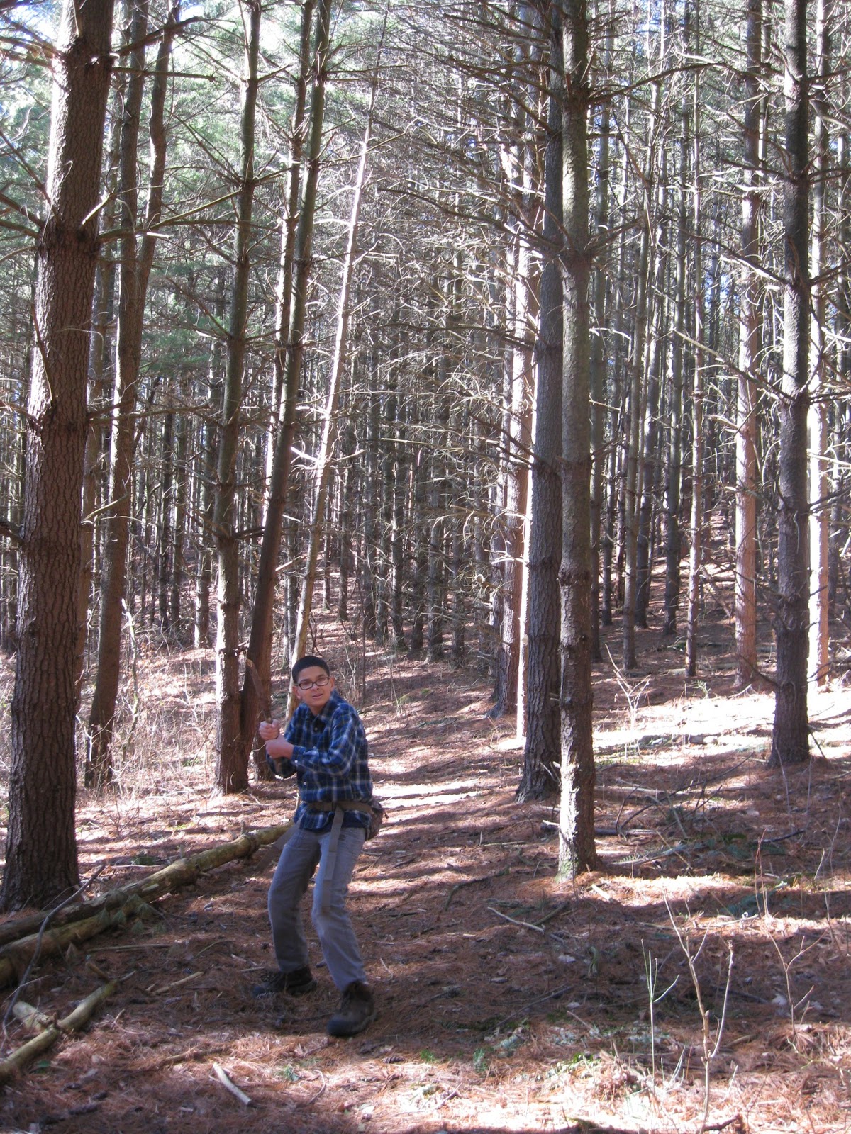 I Heart Hiking: Lamping Homestead Trail, Wayne National Forest