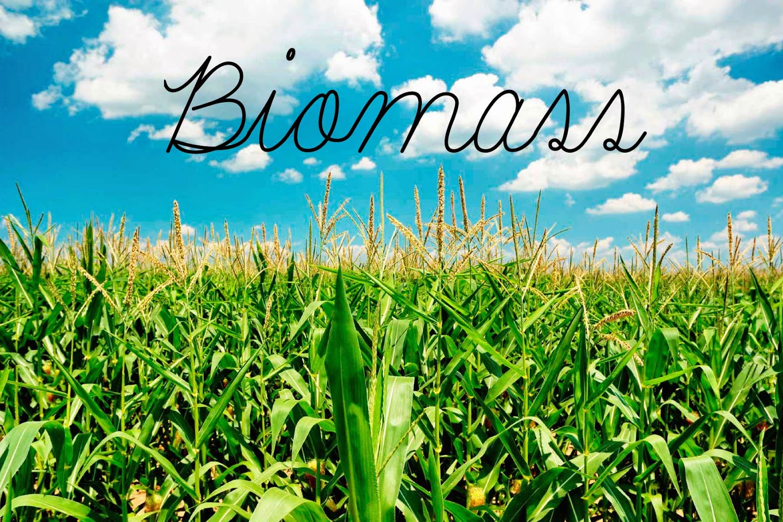 Loose Shoelaces: Electricity Unit Resources