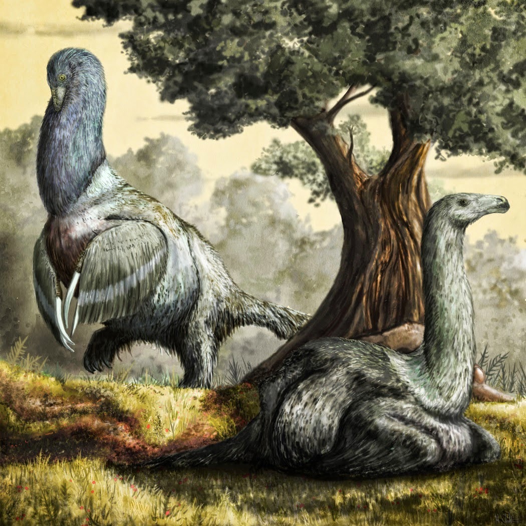 Tetrapod Flight From Feathers To Flying Dinosaurs Tetrapod Flight From Feathers To Flying Dinosaurs