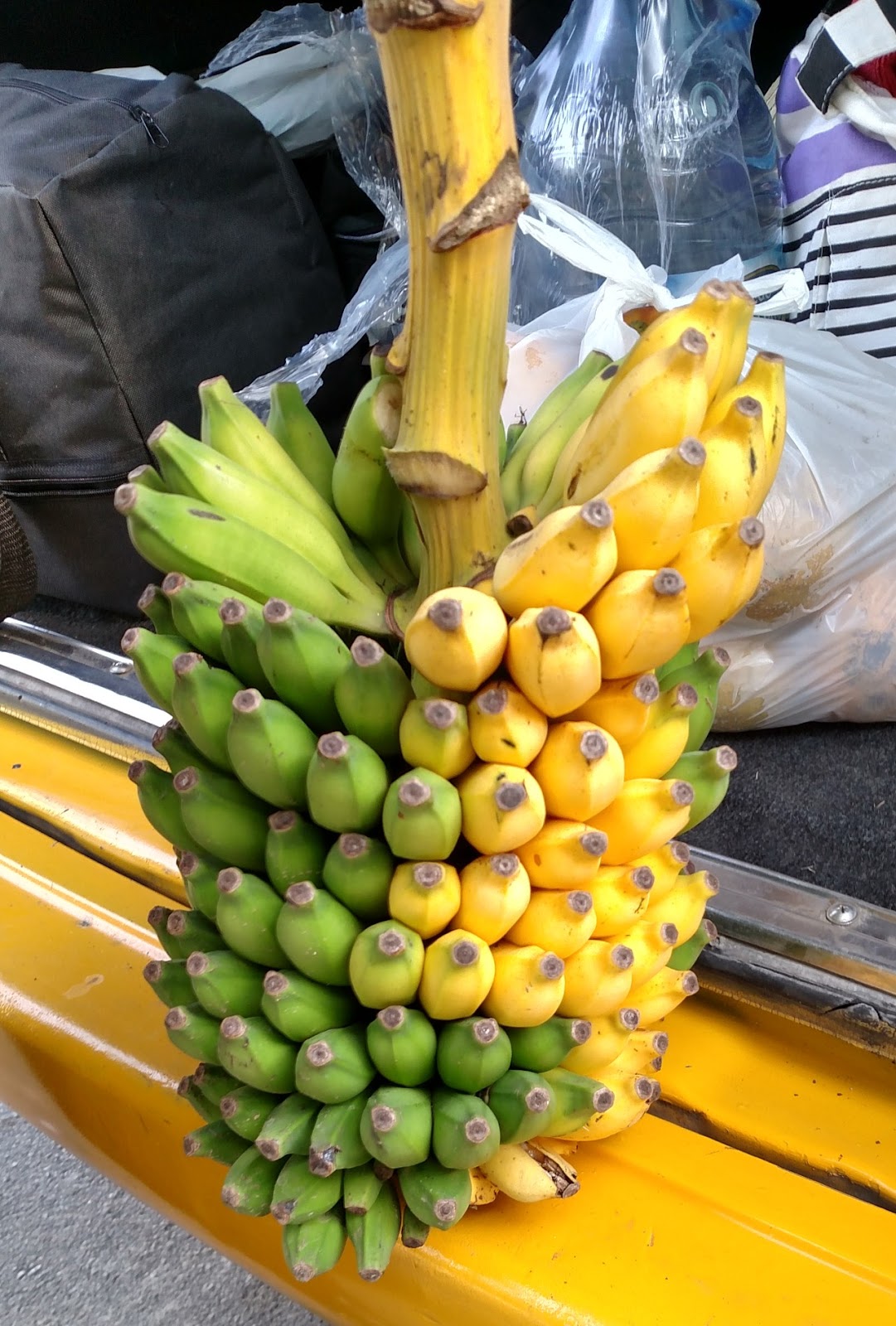 La Bloga: The Colors of Cuba