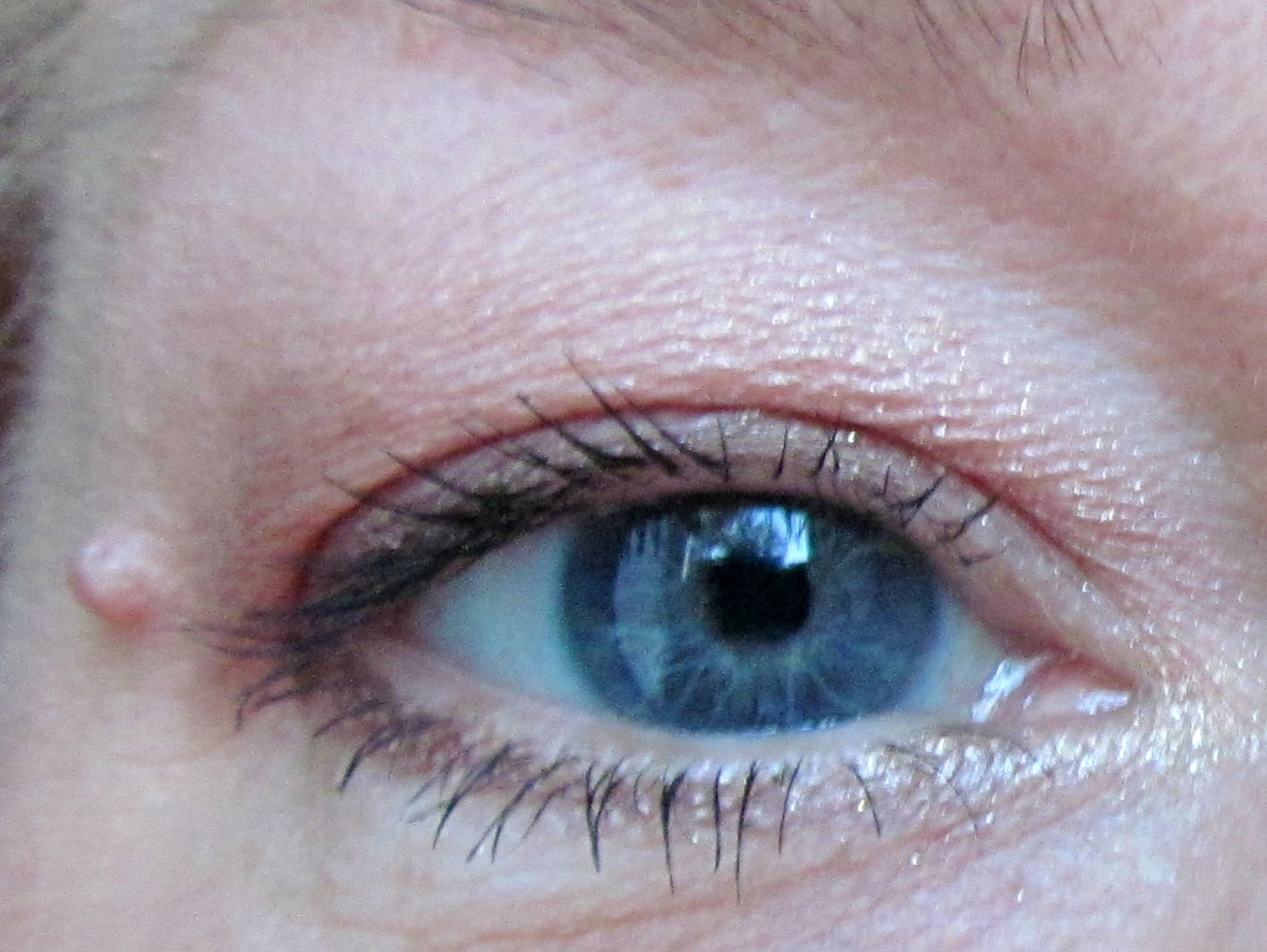 Bon Vivant Beauty: Too Faced Shadow Bon Bons Review and Swatches