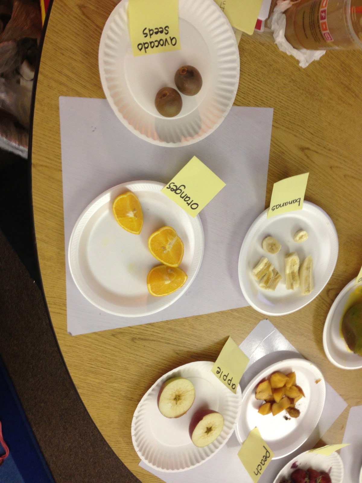 Frugal in First: Seed Investigation