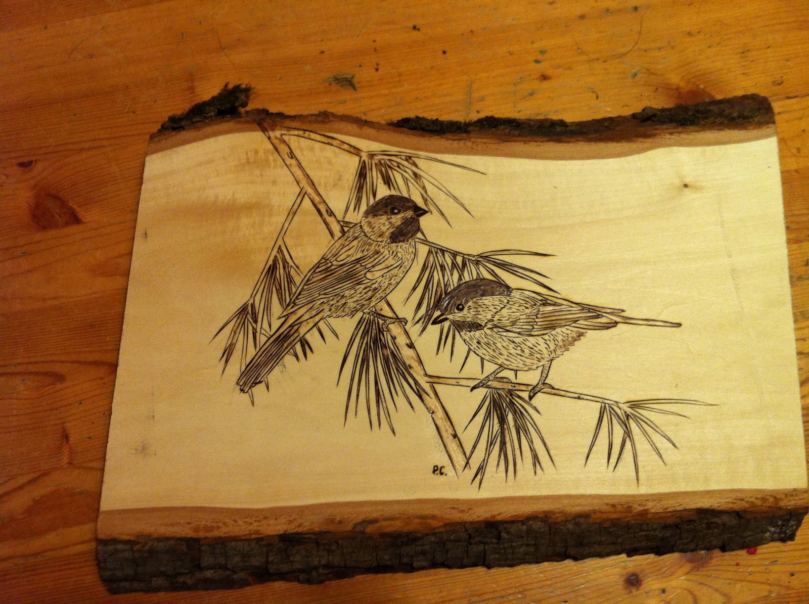 Up The Creek...: Pyrogrpahy - Black Capped Chickadees