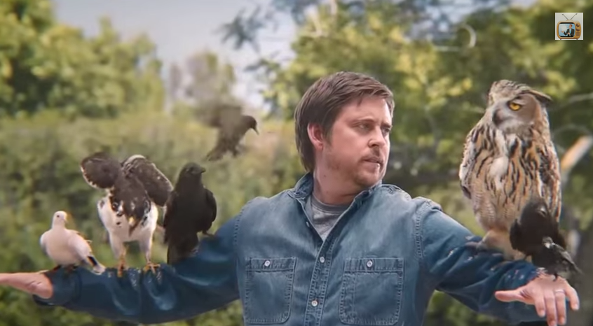 The Birdist: Birds at Large: Commercials - August 2014