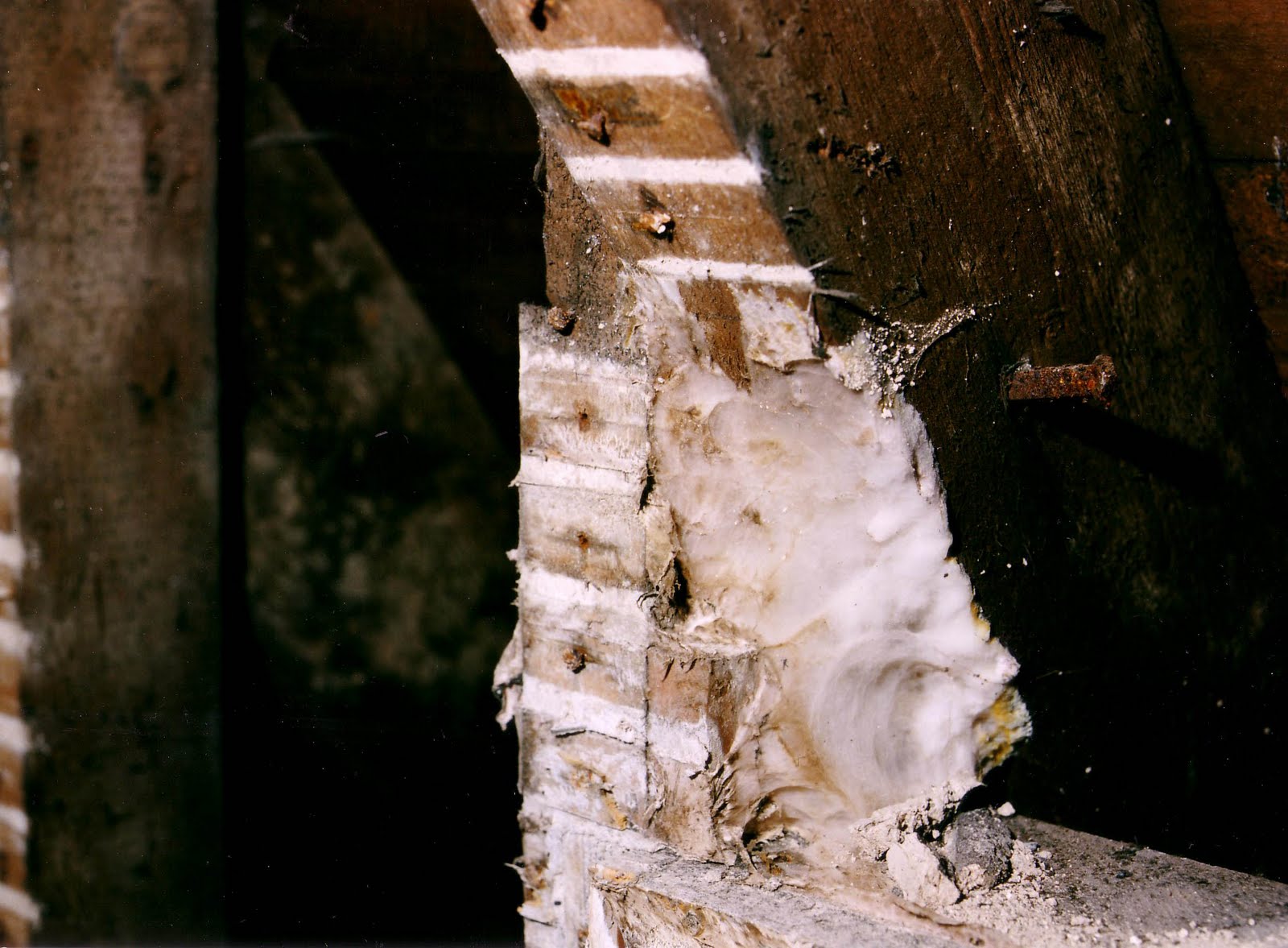 : 5 key questions about dry rot treatmentPeter Cox - Building Services ...