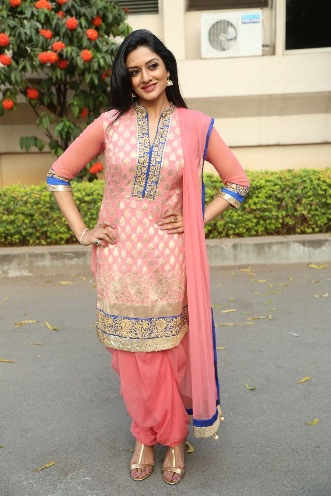 Vimala Raman latest glamorous photos