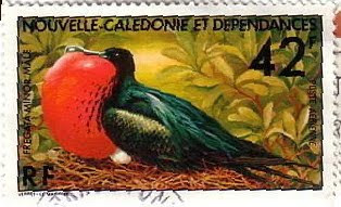 French Vocabulary Illustrated: jabot