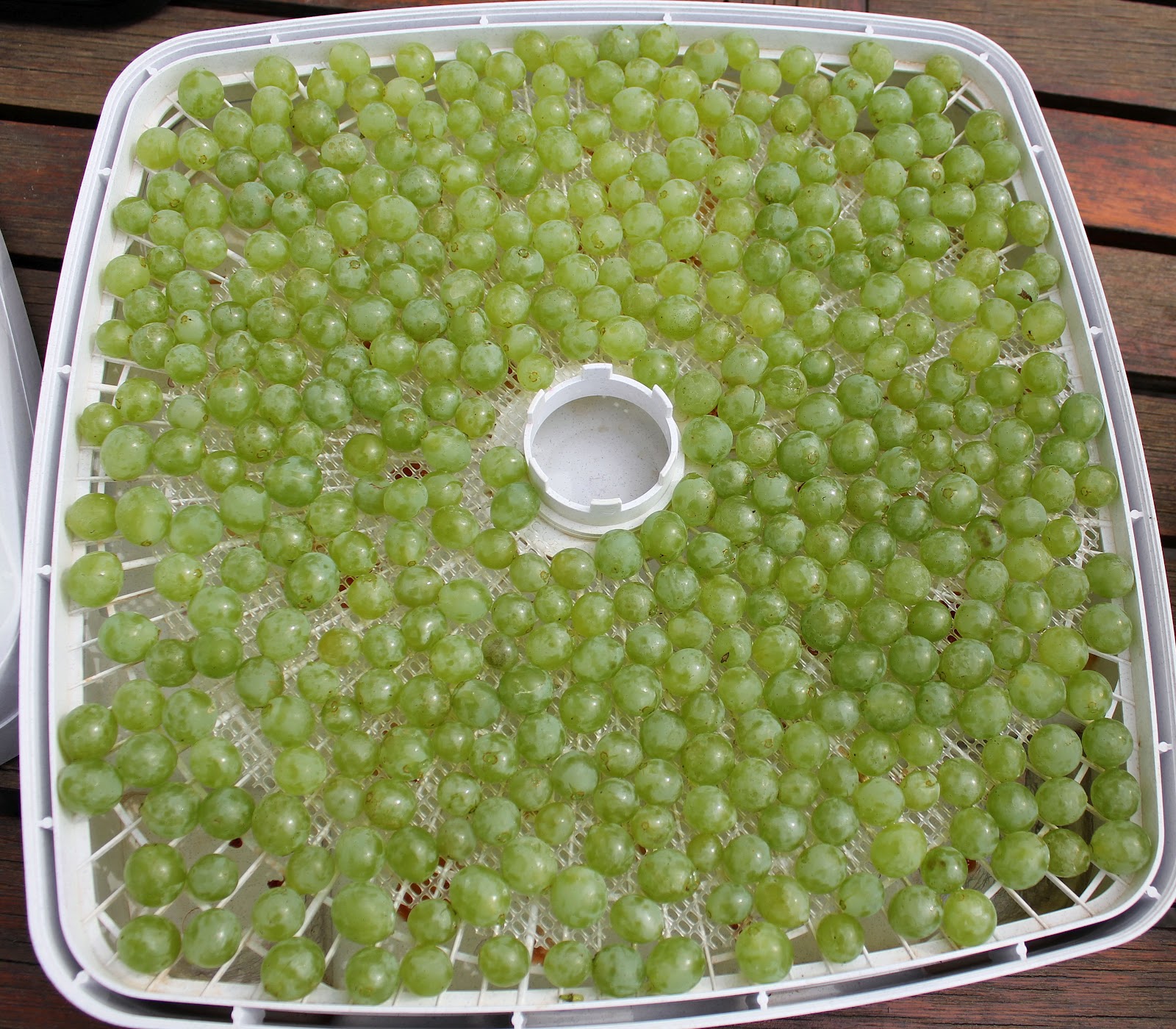 My Mountain Garden Gleanings: Making Raisins