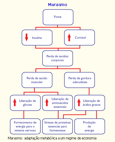 Dr. Deo de Freitas: Marasmo e Kwashiorkor