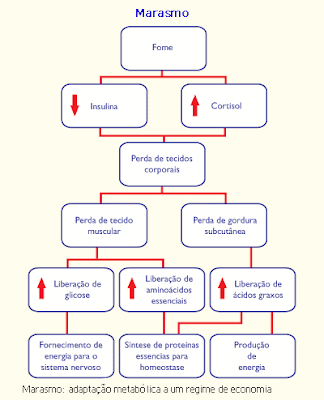 Dr. Deo de Freitas: Marasmo e Kwashiorkor