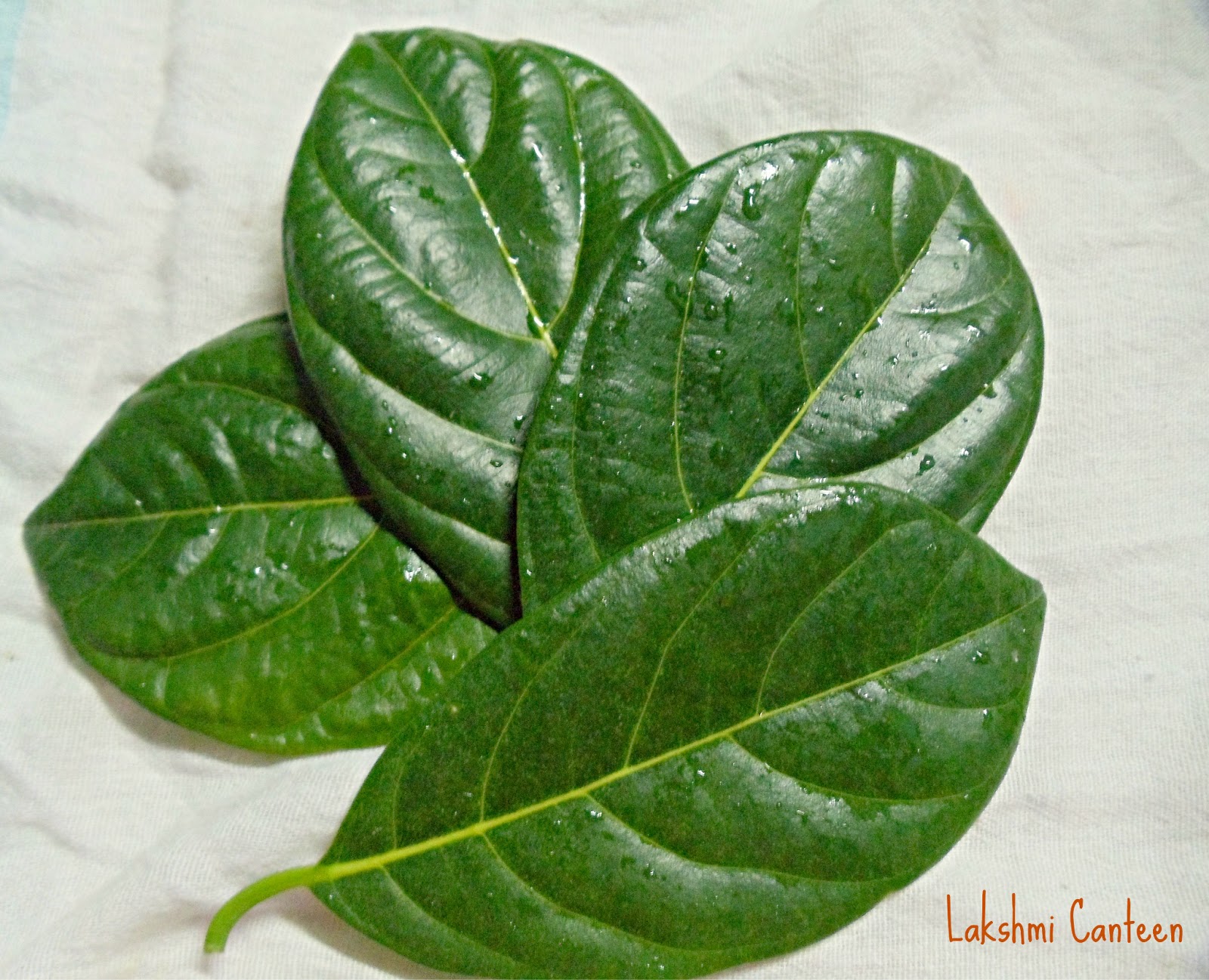 Lakshmi Canteen: Khotto ( Idli Batter Steamed in Jackfruit Leaves ...