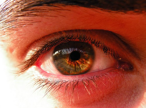 Se lia parda: Origen de la expresión "liarla parda"