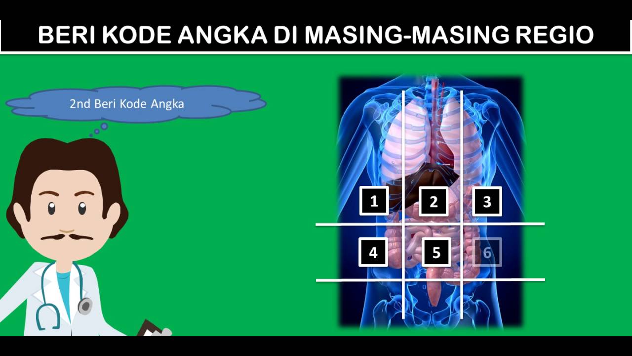 regio abdomen - wood scribd indo