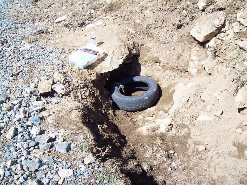 Mike and Lisa's World: Chapter 53...Baby Calves And Culverts