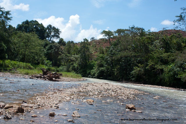 Borneo Reflections: A Round Trip to Tongod and Nabawan