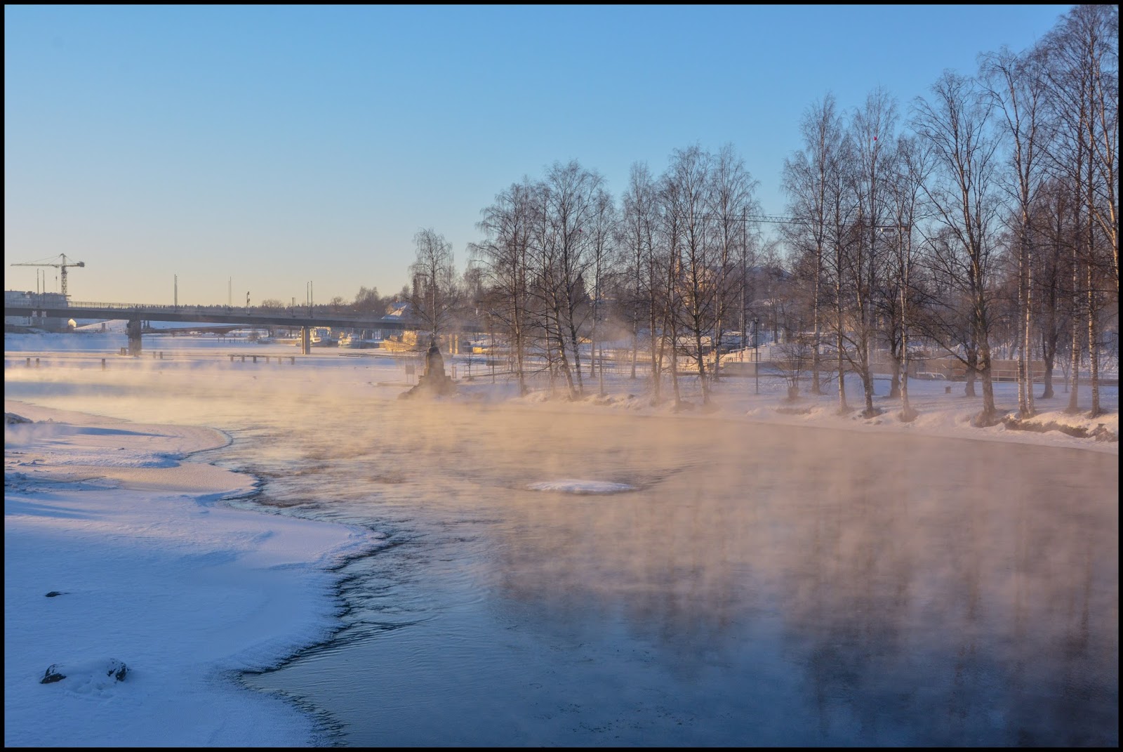 Pihakuiskaajan matkassa: Aurinkoinen ja kylmä loppiainen