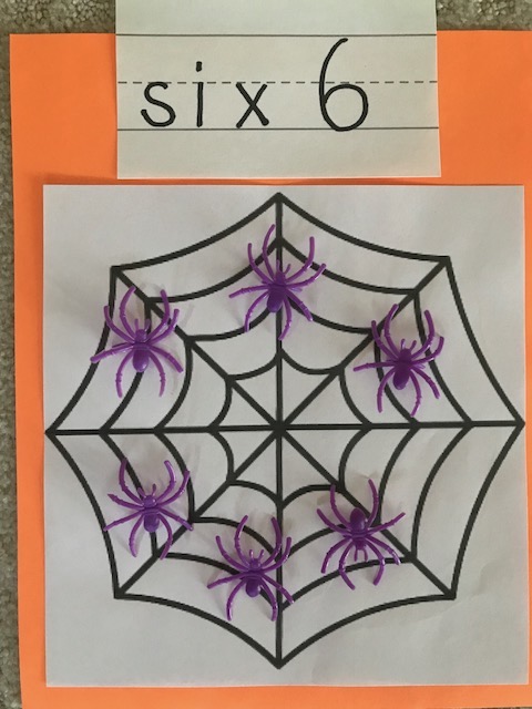 SPIDER RINGS AND BAT THINGS - Dr. Jean & Friends Blog